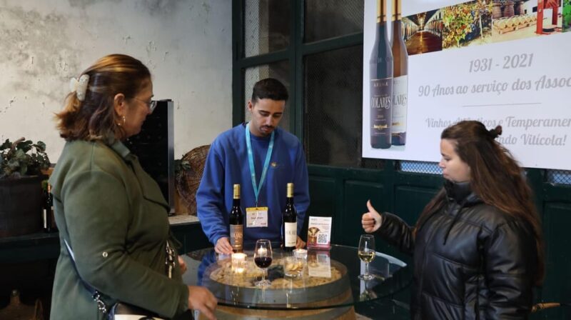 From Lisbon: Sintra, Pena Palace, Cascais and Wine Tasting - The Transportation and Overall Experience