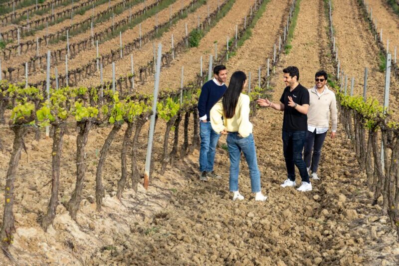 From Lisbon: Sintra & Pena Palace Day Trip with Wine Tasting - Who Will Love This Tour?