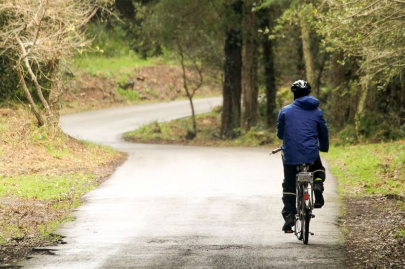 From Lisbon: Sintra to Cascais Full-Day Guided E-Bike Tour - The Downhill to Sintra and Final Palace Views