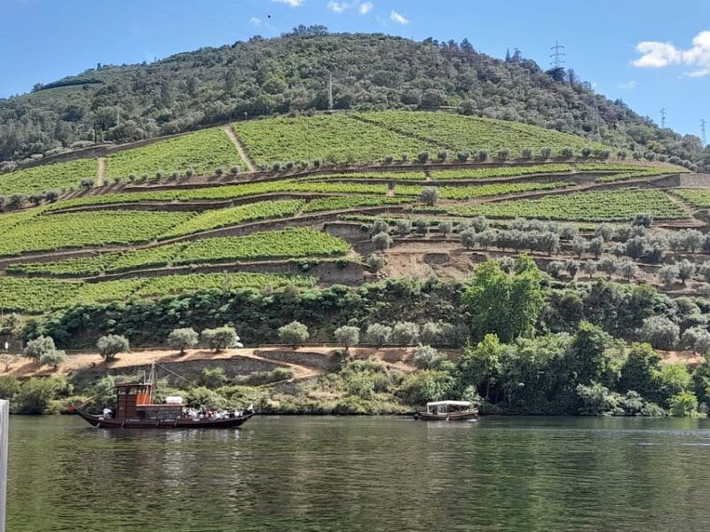 From Lisbon to Douro Valley with Stops up to 3 Cities - What Travelers Are Saying