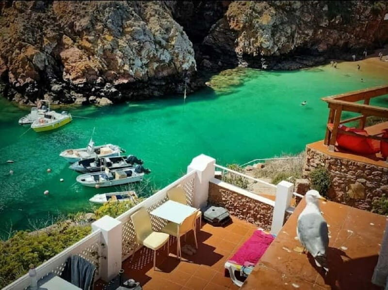 From Lisbon: Tour to Berlengas, a UNESCO natural reserve - The Sum Up