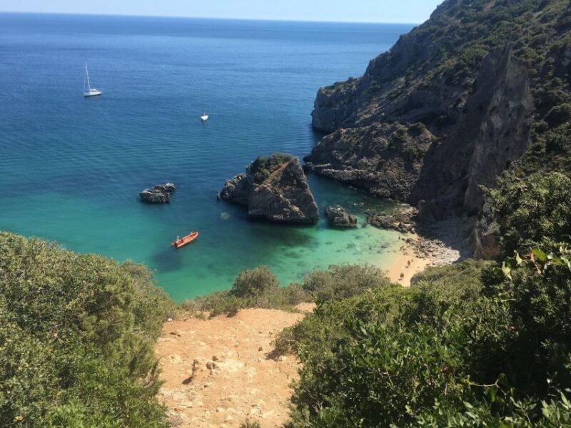 From Lisbon: Vicentine Coast Exploration - Key Points