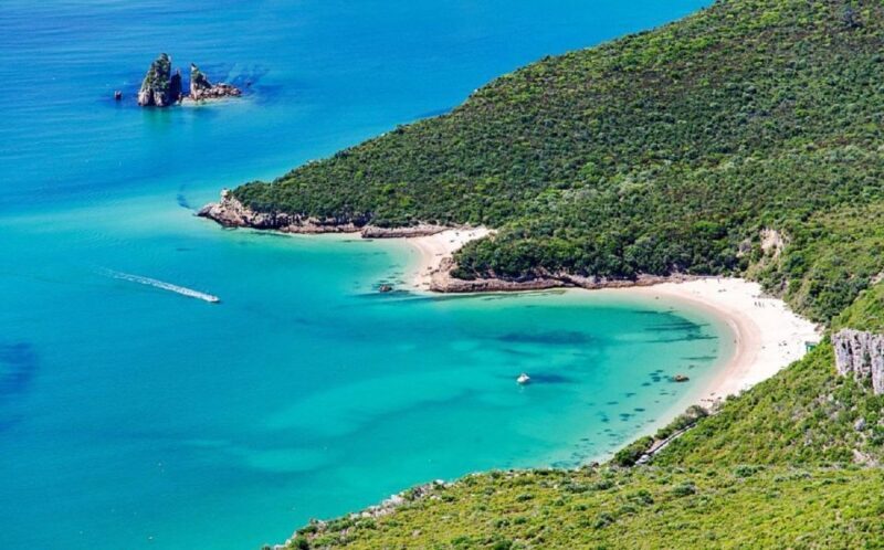 From Lisbon: Vicentine Coast Exploration - Who Should Consider This Tour?