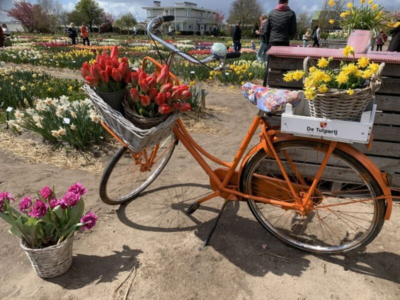 From Lisse: Keukenhof Flower Fields Bike Tour - FAQ