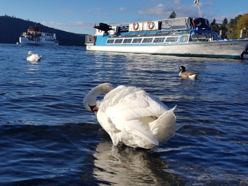 From Liverpool: Lake District Shore Excursion - Final Thoughts