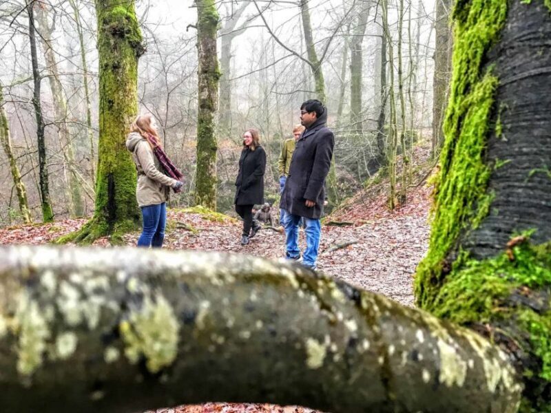 From Liverpool: Lake District Sightseeing Adventure Day Trip - The Sum Up: Is This Tour Worth It?