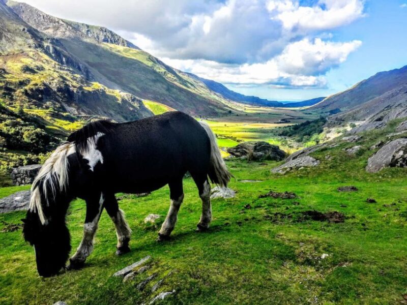 From Liverpool: North Wales Adventure Sightseeing Day Trip - The Sum Up