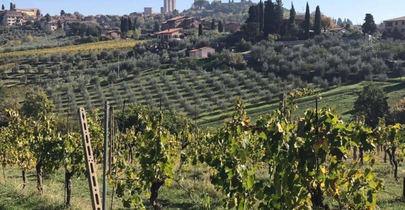 From Livorno: Shore Excursion to Chianti and San Gimignano - Authentic Experiences and Small-Group Charm