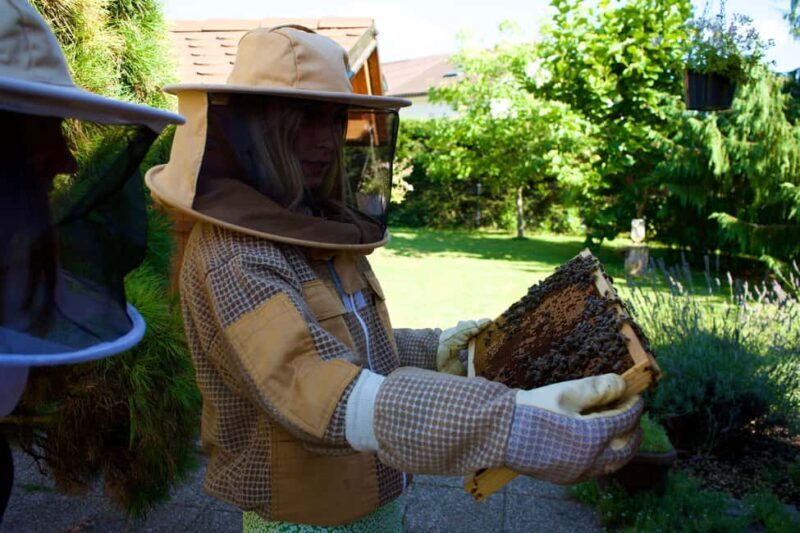 From Ljubljana: All About Bees - Authenticity, Value, and Who Will Love This Tour