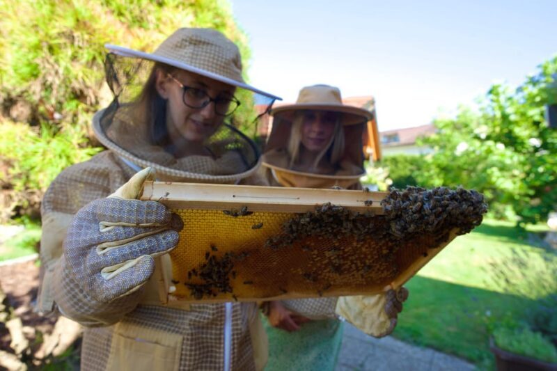 From Ljubljana: All About Bees - In-Depth Look at the Itinerary