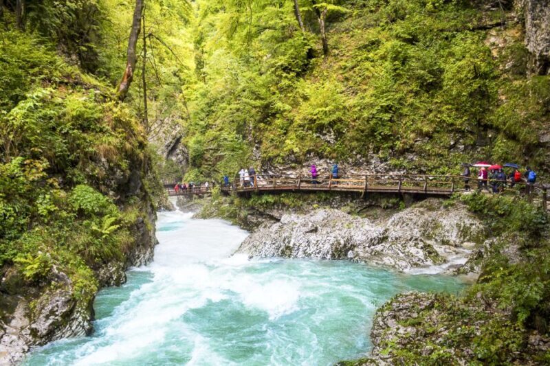 From Ljubljana: Day Trip to Bled and Vintgar Gorge - Who Will Love This Tour?