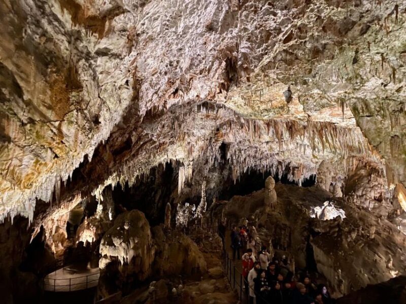 From Ljubljana: Postojna Cave Day Trip - The Cost and Its Value
