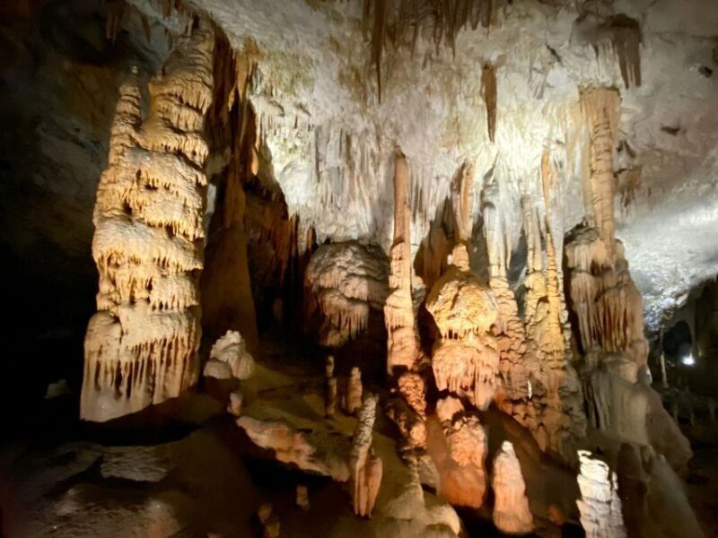 From Ljubljana: Postojna Cave Day Trip - Reviews and Real Traveler Insights