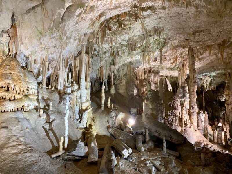 From Ljubljana: Postojna Cave Day Trip - Practical Tips for Travelers