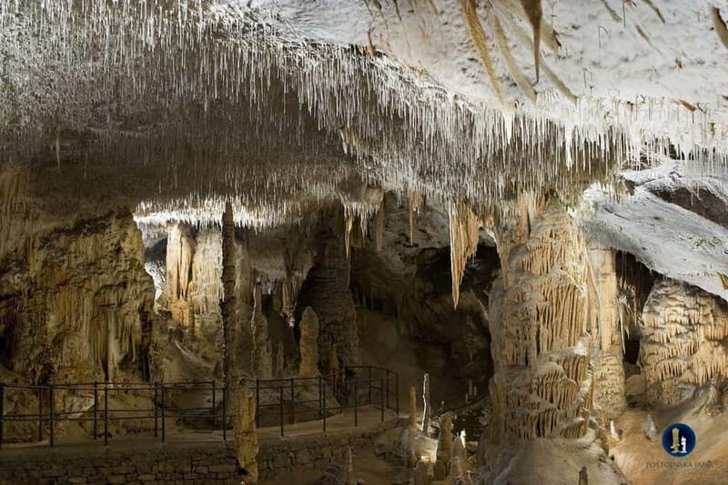 From Ljubljana: Postojna Cave, Predjama Castle, & Piran Tour - A Tour That Packs a Punch