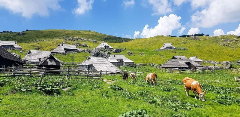 From Ljubljana: Velika Planina Guided Hike - The Itinerary: What to Expect