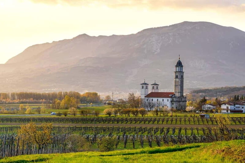 From Ljubljana: Vipava Valley Wine Express Tour - Visiting Small-Scale, Organic Wineries