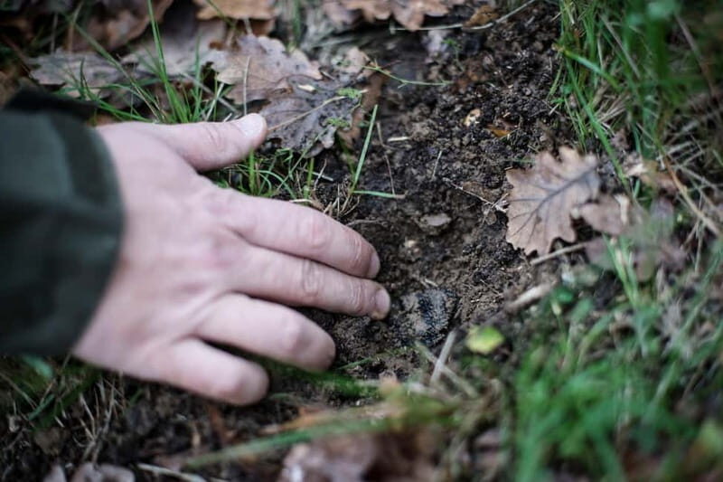 From location: Truffle farm visit, culinary workshop, meal - Authenticity and Value
