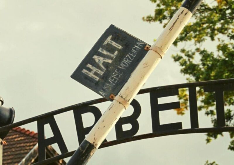 From Lodz: Auschwitz-Birkenau Small-Group Tour with Lunch - Key Points