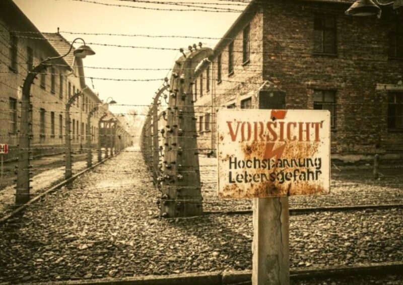 From Lodz: Auschwitz-Birkenau Small-Group Tour with Lunch - An In-Depth Look at the Auschwitz-Birkenau Small-Group Tour from Lodz