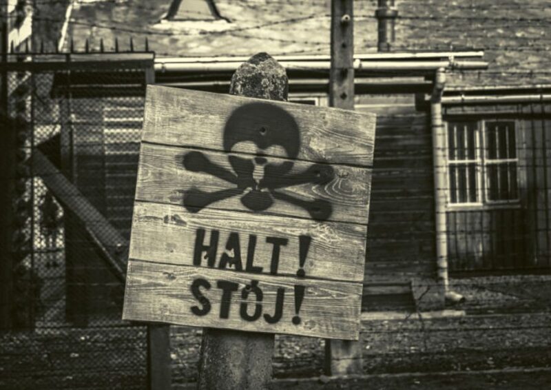 From Lodz: Auschwitz-Birkenau Small-Group Tour with Lunch - Final Words