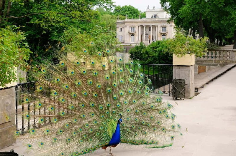 From Lodz: Warsaw City Private Guided Day Trip - Lazienki Park – A Serene Oasis