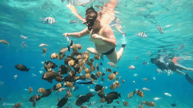 From Lombok: A Day Tour To Gili Nangu, Sudak, Kedis - The Bottom Line