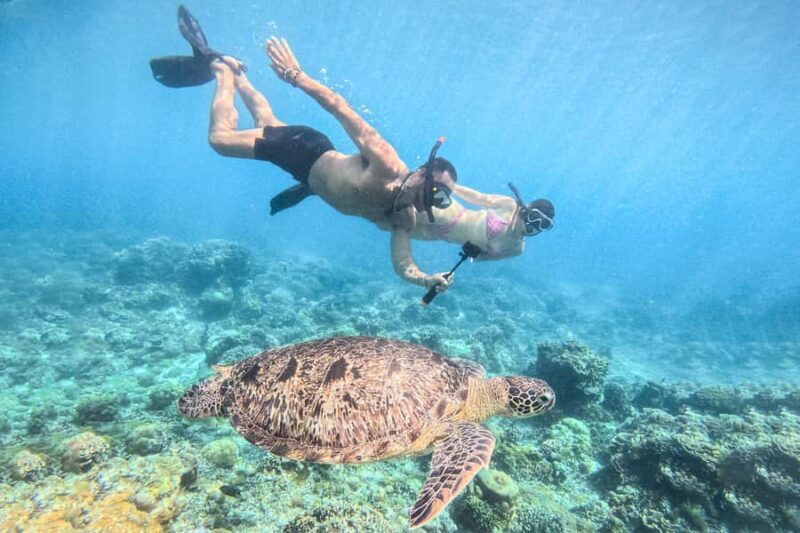 From Lombok: Full-Day Gili Gede, Rengit, & Layar Island Tour - The Practical Side: Logistics and Details