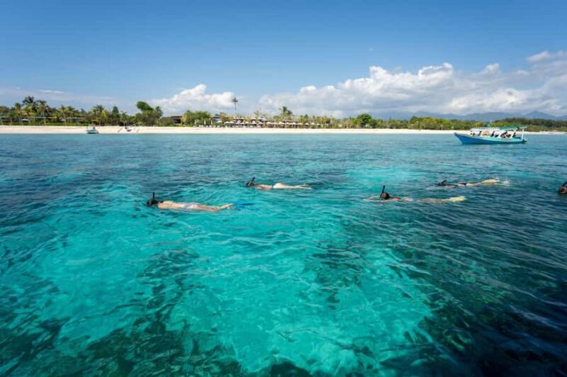 From Lombok: Gili Islands Private Snorkeling & Turtle Tour - Authentic Experiences and Customer Feedback
