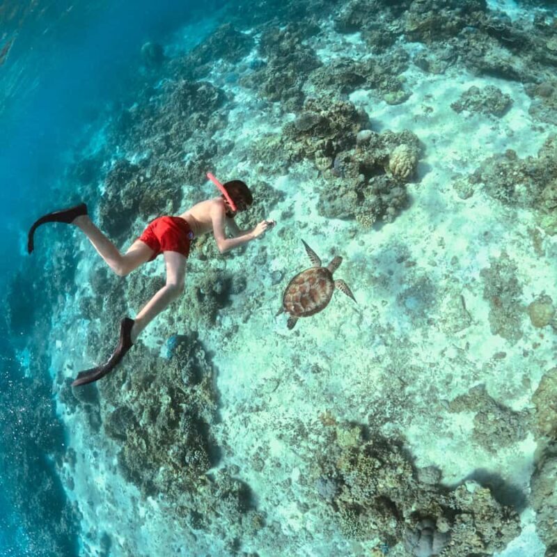 From Lombok: Gili Islands Private Snorkeling & Turtle Tour - Final Thoughts