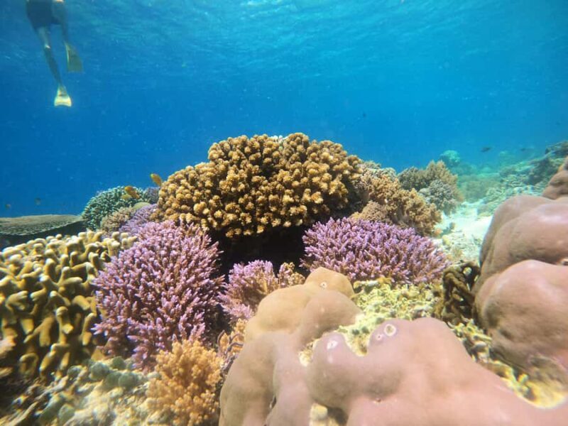 From Lombok: Gili Islands Snorkeling Day Trip - Food & Refreshments