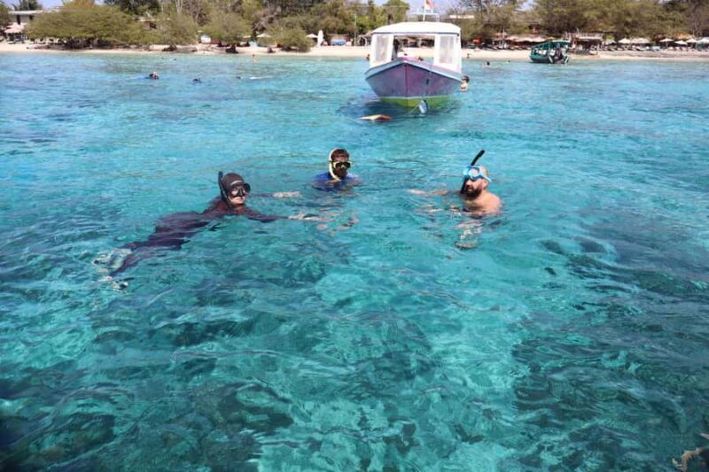 From Lombok: Gili Islands Snorkeling Day Trip - Pricing & Value