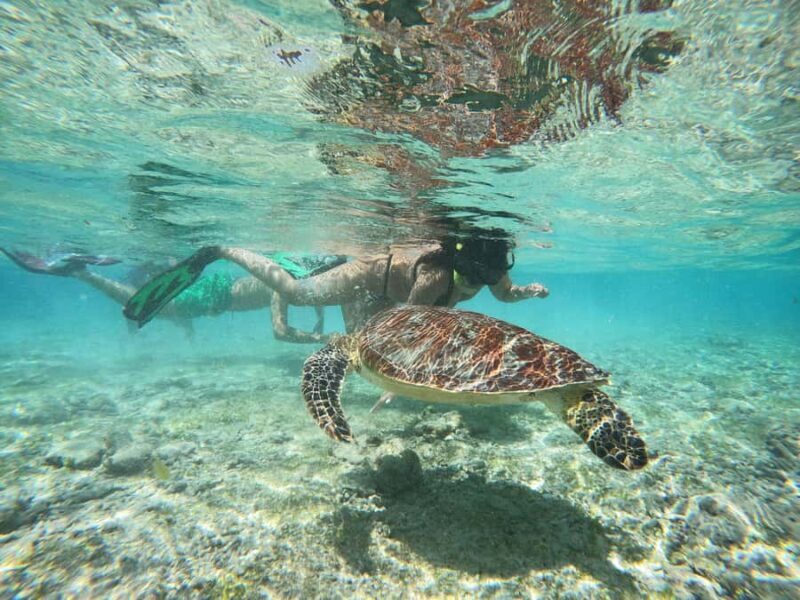 From Lombok: Gili Islands Snorkeling Day Trip - Frequently Asked Questions