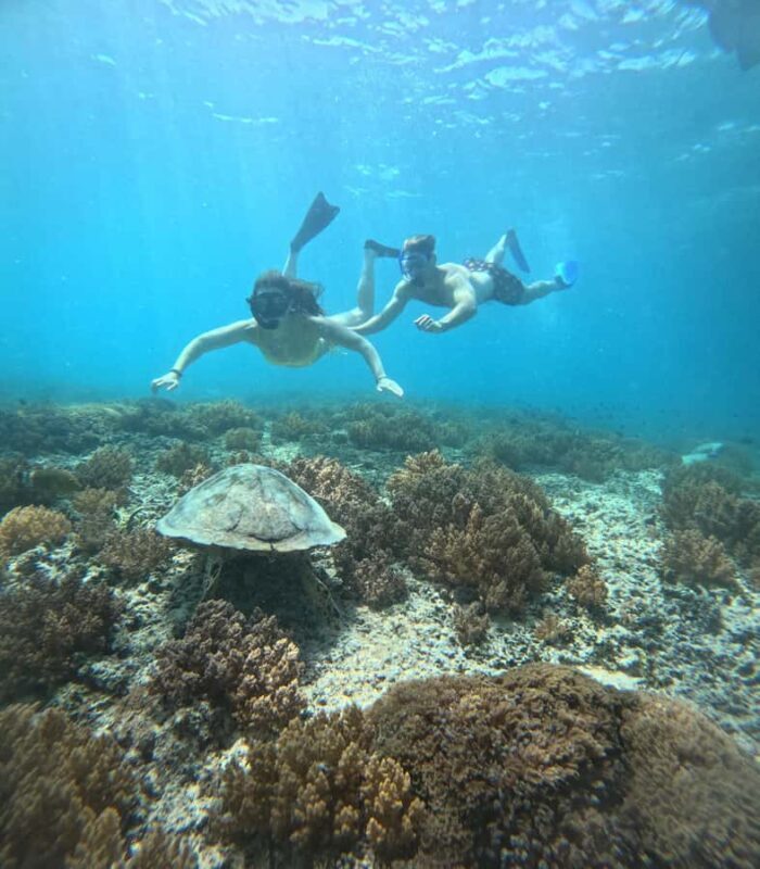 From Lombok Private Snorkeling 3 Gili All Inclusive - The Itinerary: What You Can Expect
