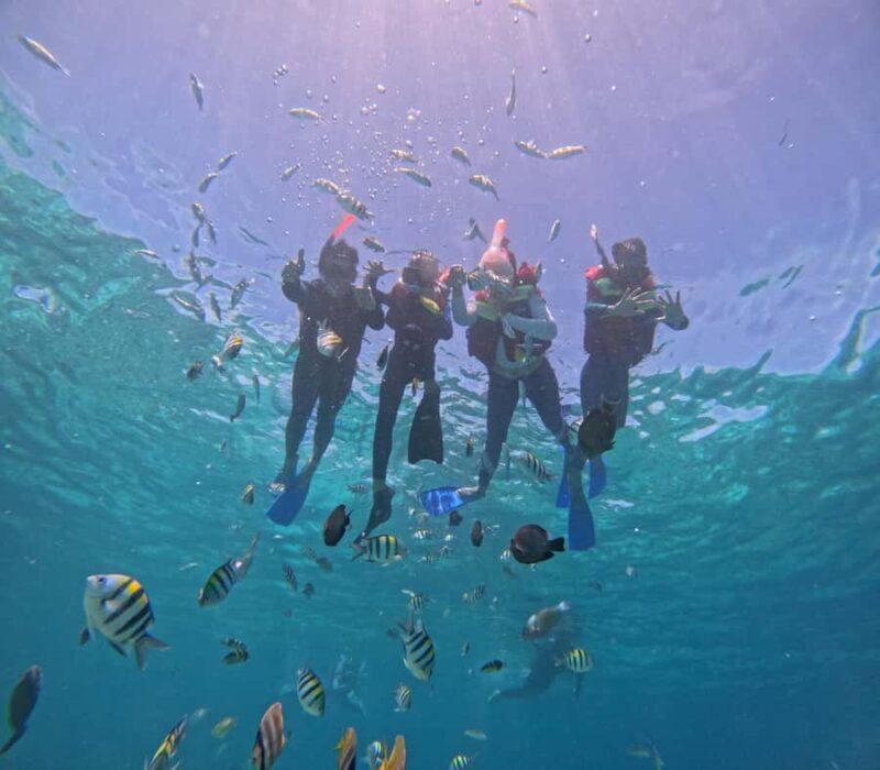 From Lombok Private Snorkeling 3 Gili All Inclusive - Who Should Consider This Tour?