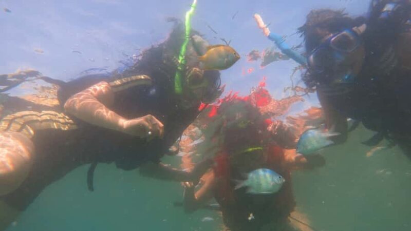 From Lombok: Southern Gilis Private Snorkelling Day Trip - The Practicalities: What to Know