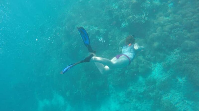 From Lombok: Southern Gilis Private Snorkelling Day Trip - FAQs