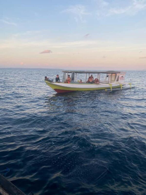 From Lombok,Sumbawa Whale Shark Tour 2D1N - Exploring the Lombok & Sumbawa Whale Shark Tour 2D1N