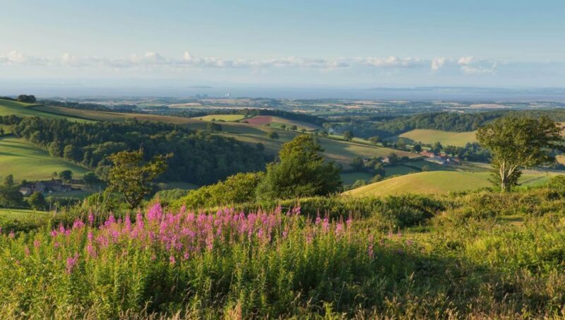 From London: Canterbury & White Cliffs of Dover Tour - Exploring Canterbury