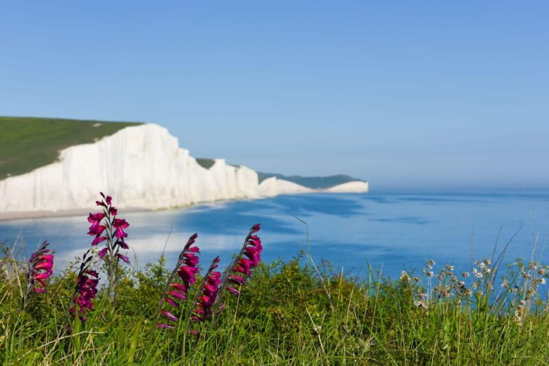 From London: Seven Sisters and Brighton Full-Day Tour - The Value and Practicality