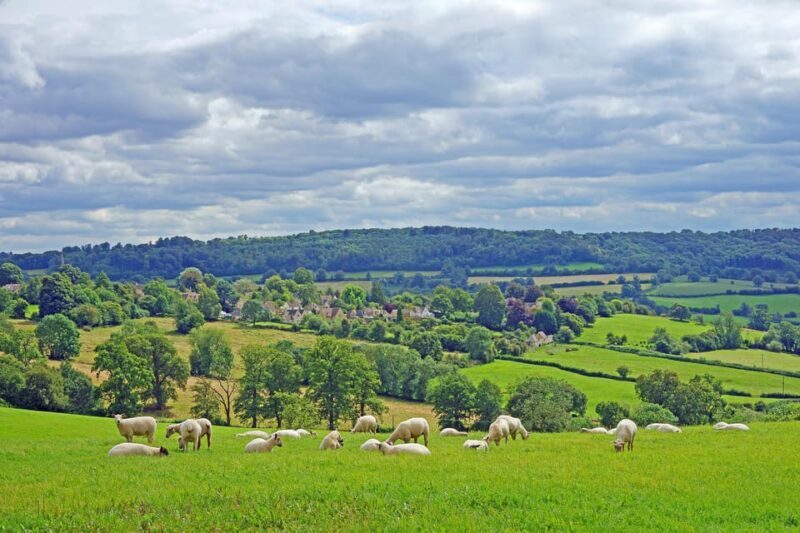From London: Small Group Stonehenge, Bath & Cotswolds Tour - FAQ
