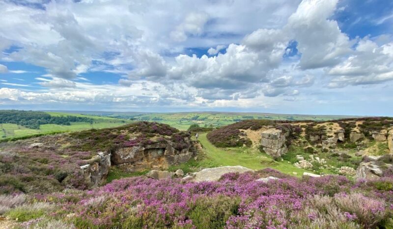 From London: The North York Moors with Steam Train to Whitby - Authentic Experiences and Authenticity