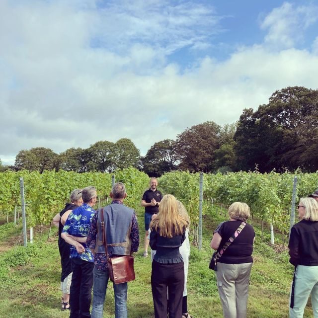 From London: Vintage Bus Wine Tour with Return Train Tickets - Who Will Love This Tour?