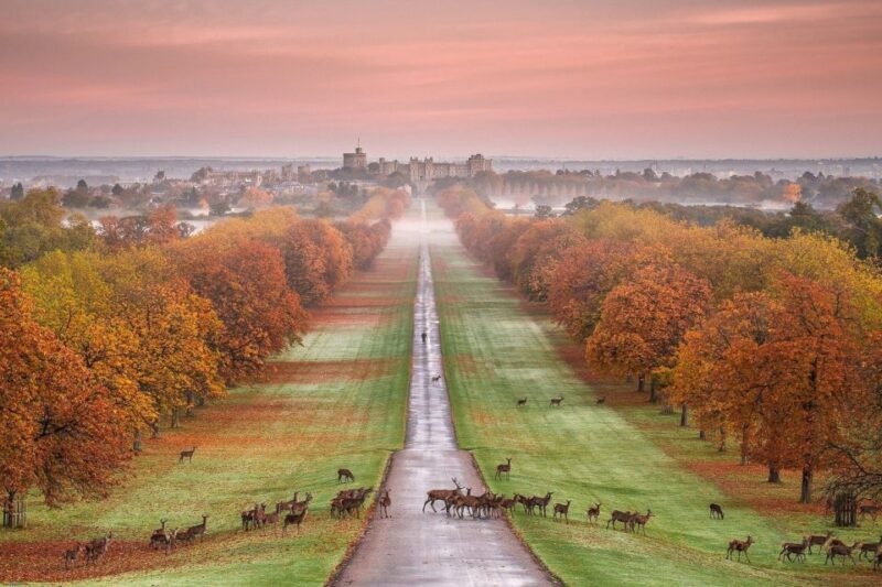 From London: Windsor Castle Afternoon Sightseeing Tour - Final Thoughts