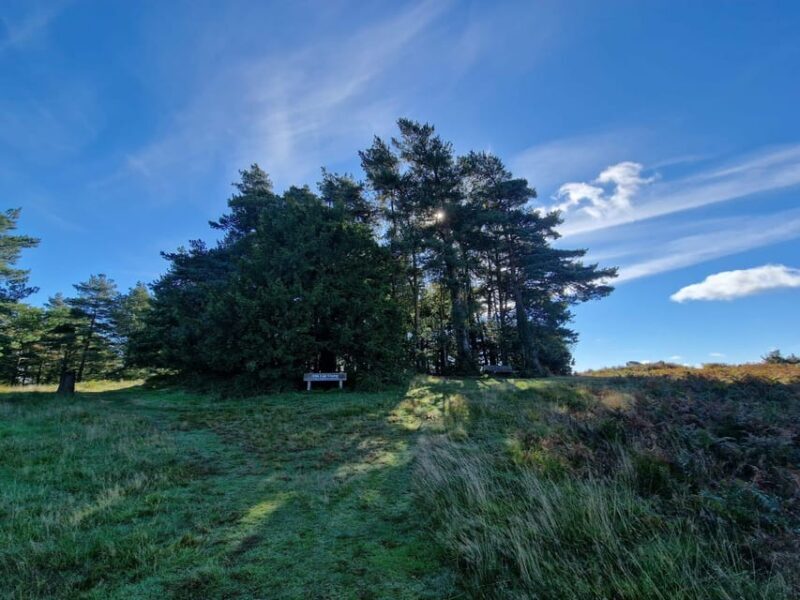 From London: Winnie-the-Pooh's Hundred Acre Wood Day Tour - FAQs
