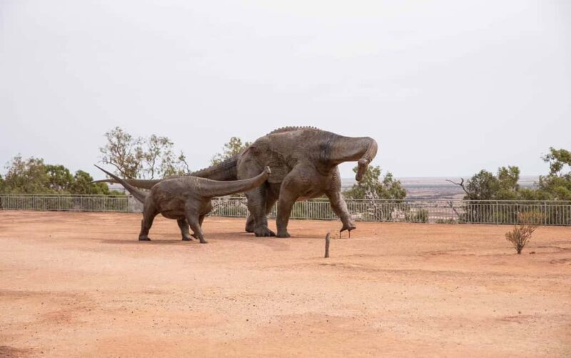 From Longreach: Outback Winton Full Day Tour - FAQ