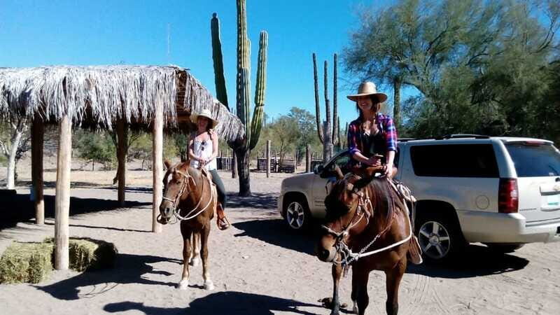 From Loreto: Baja Desert Horseback Riding Tour - What to Expect During the Tour