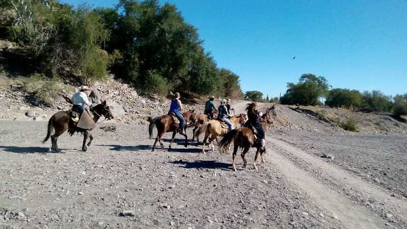 From Loreto: Baja Desert Horseback Riding Tour - The Practical Side: Price, Duration, and Booking