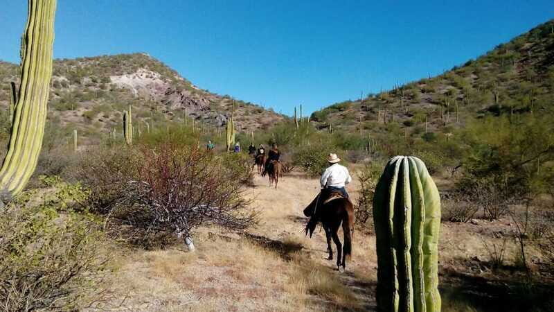 From Loreto: Baja Desert Horseback Riding Tour - The Experience Provider: Wild Loreto Tours