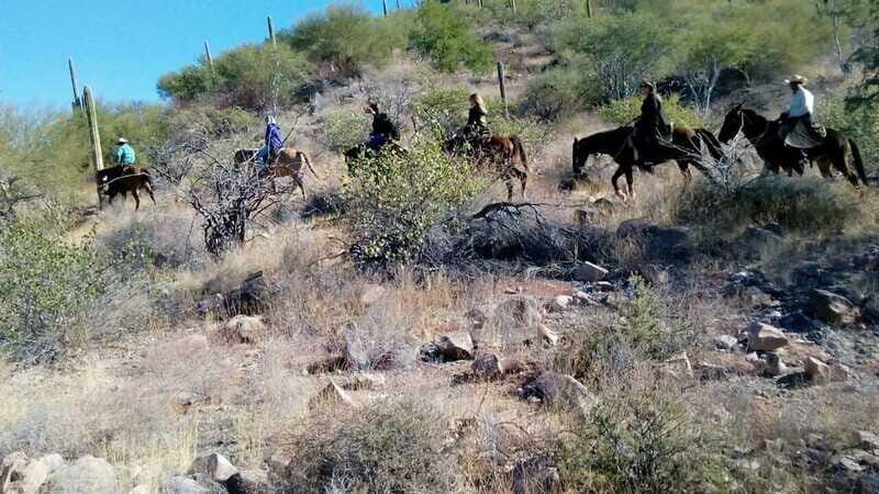 From Loreto: Baja Desert Horseback Riding Tour - The Sum Up